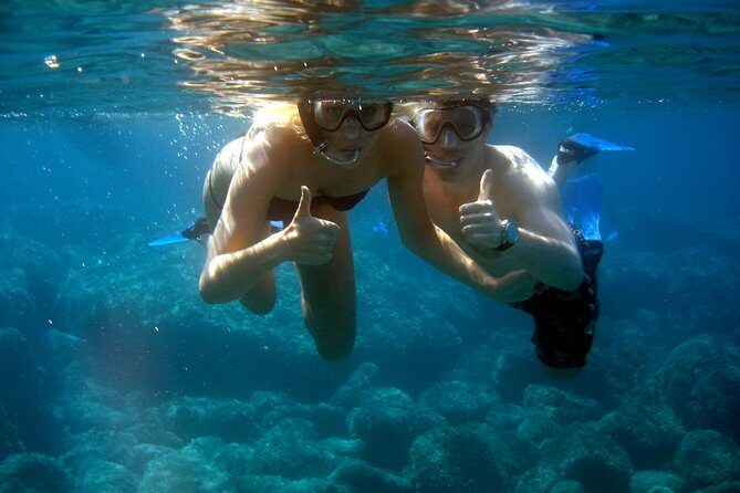 Alghero - Dolphin Watching and Guided Snorkeling (summer tour) - What to Expect During the Tour