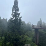 Alishan, Sun Moon Lake, Taichung Three Days Tour from Taipei - Who Would Enjoy This Tour?