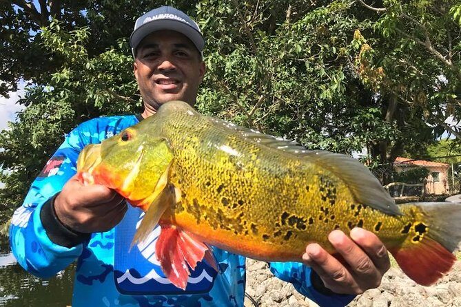 All Day Peacock Bass Fishing Trip near Key Largo - How the Tour Enhances Your Visit