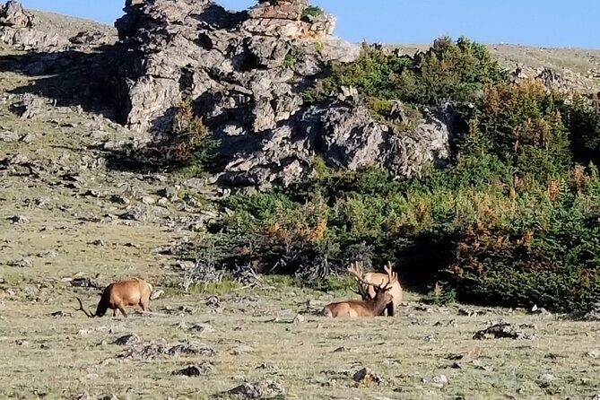 All Day Rocky Mountain National Park to Grand Lake Tour - An In-Depth Look at the Rocky Mountain Adventure