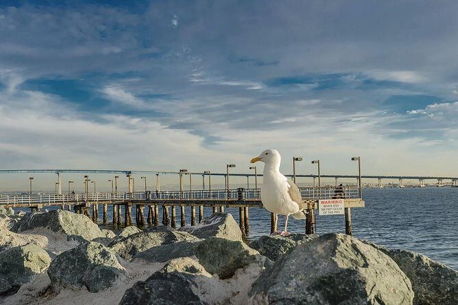 All Day San Diego Scenic Tour - The Pros and Cons