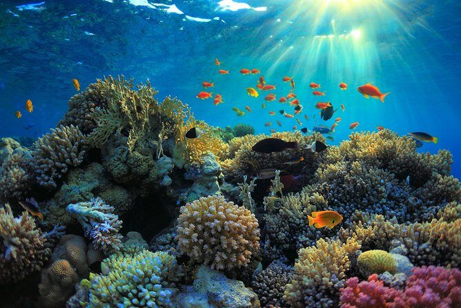 All inclusive: Blue lagoon Snorkeling & the Bats cave temple - An In-Depth Look at the Tour Experience