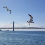 All-Inclusive Dalian City Relax 7-Day Private Tour - What the Price Reflects