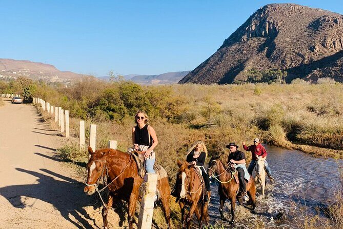 All-Inclusive Horseback Riding on the Beach in Mexico - Introduction to the Experience