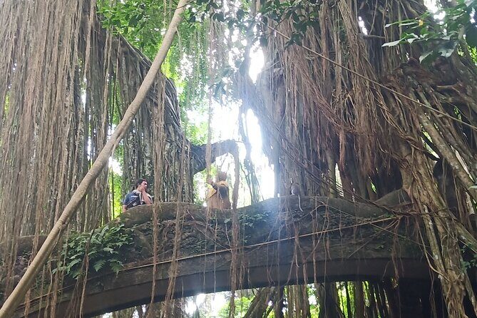 All inclusive of Ubud Culture,Village and Temples - What’s Included and What to Expect