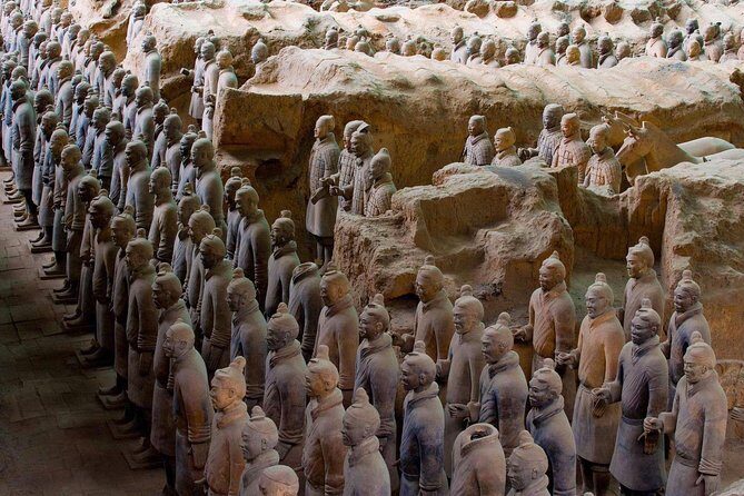 All Inclusive Private 2-Day Tour of Xi'an Highlights from Shanghai with Hotel - What Makes This Tour Stand Out
