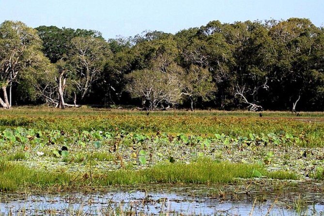 All Inclusive Private day tour to Wipattu National Park From Negombo - Who Should Consider This Tour?