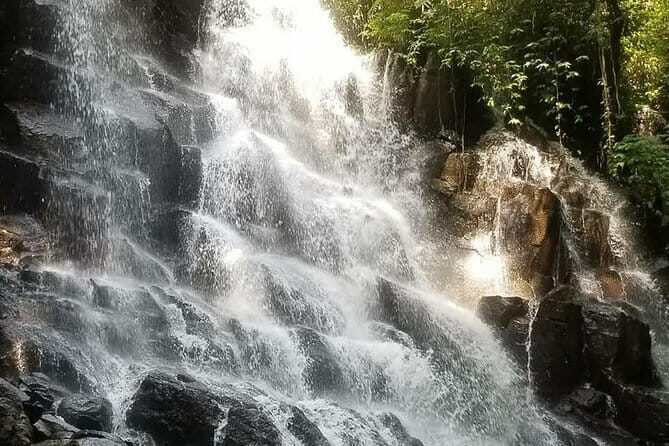 All Inclusive Private Highlight Ubud Waterfalls Tours - What Makes This Tour Stand Out