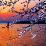 All Inclusive Wuxi City Flexible Private Day Tour - Who Is This Tour Best For?