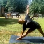 Alpaca and Llama Encounter with Guided Walk - Discovering Hidden Brook Ranch: What to Expect