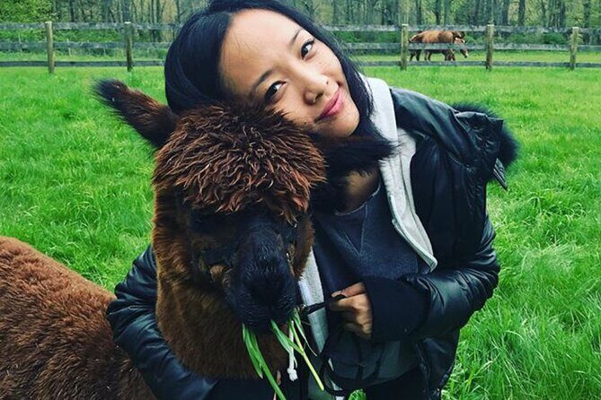 Alpaca and Llama Trek in Pleasant Valley - What Makes This Experience Special?