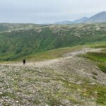 Alpine Classic Trek - Authentic Experiences and Reviews: What Travelers Say