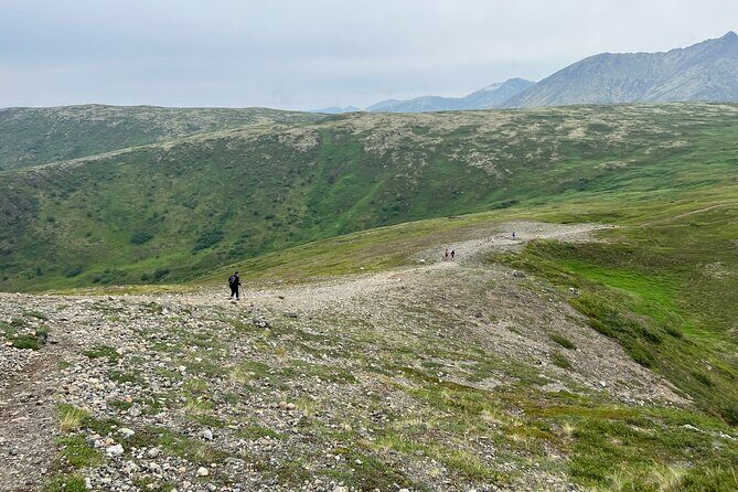 Alpine Classic Trek - Authentic Experiences and Reviews: What Travelers Say
