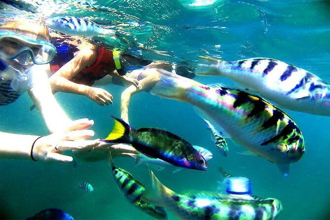 Amazing Snorkeling at Blue Lagoon - The Experience Provider and Booking