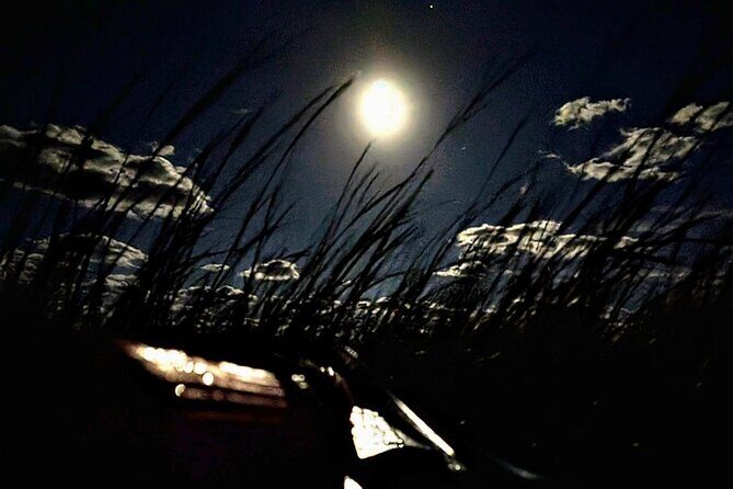 Amelia Full Moon Paddle at Talbot Islands State Park - The Sum Up
