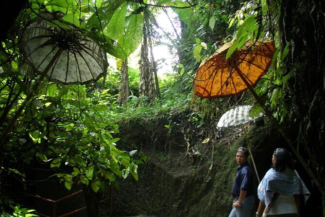 An Eco-Walk through Green Bali - An In-Depth Look at the Green Bali Eco-Walk