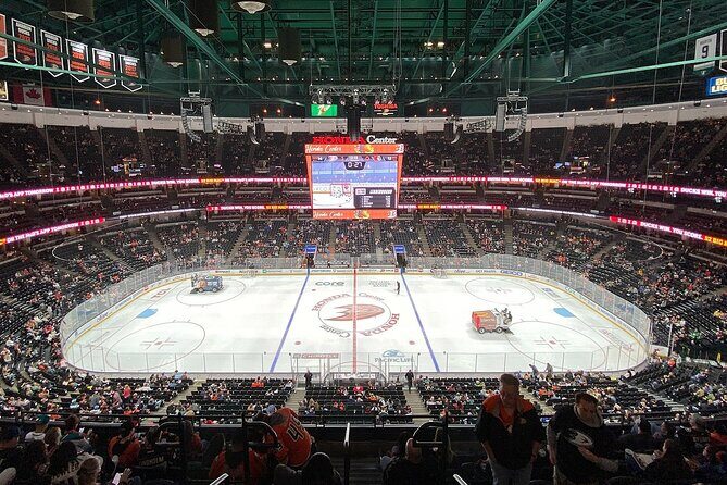 Anaheim Ducks NHL Game Ticket at Honda Center - Value and Cost Analysis