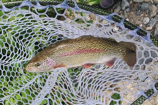 Anchorage Guided Fly-fishing - Authentic and Eco-Friendly