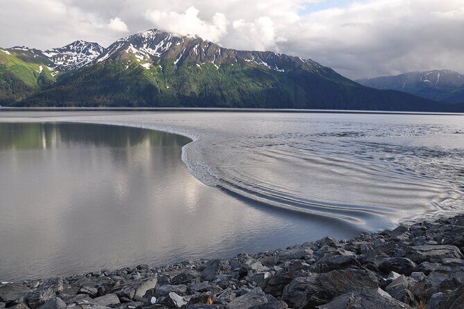 Anchorage to Seward Wildlife Adventure - A Detailed Look at the Anchorage to Seward Wildlife Adventure