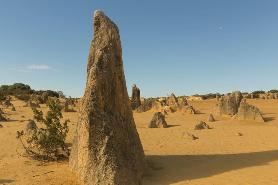 Ancient Echoes: Exploring Callanishs Stone Circles - What Makes this Tour Stand Out?