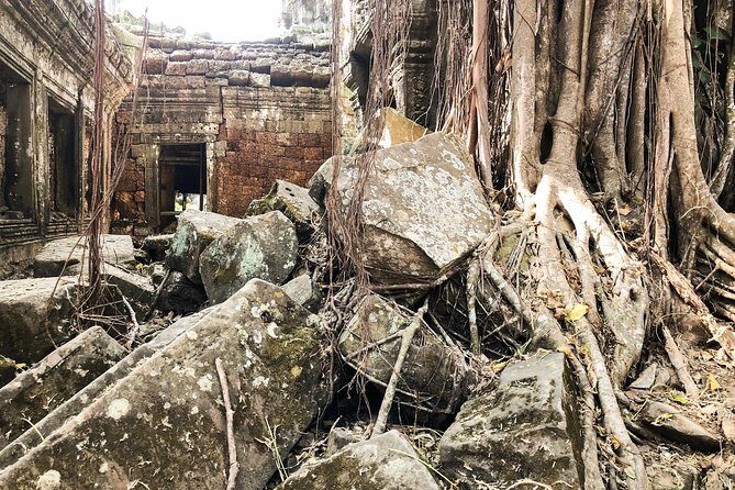 Angkor Wat Cycling Tour - Why This Tour Is a Good Deal