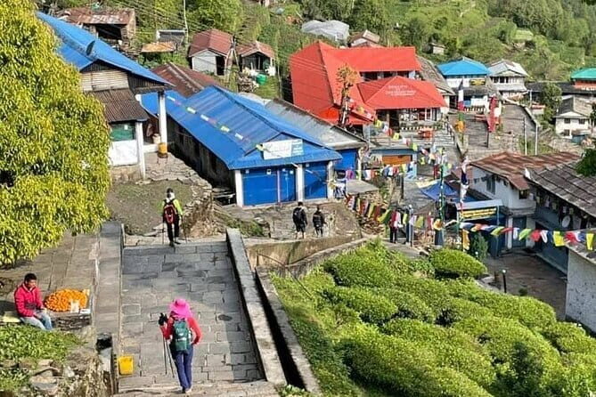 Annapurna Base Camp Trek 5 Days from Pokhara - The Itinerary in Detail