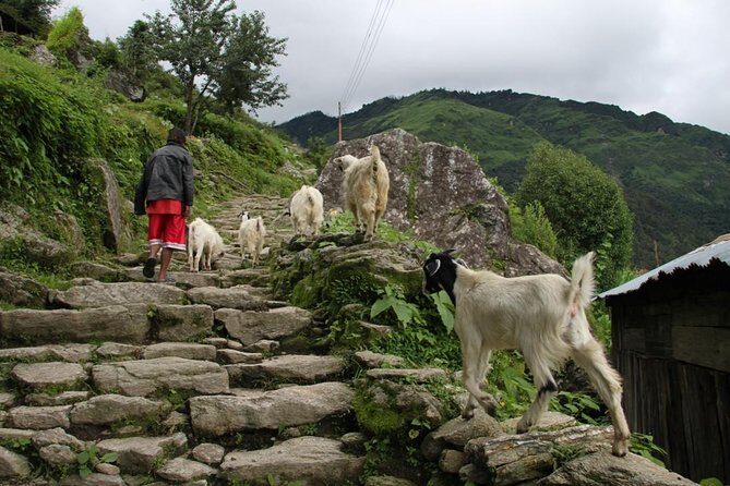Annapurna Mini Trek - What to Expect Day by Day