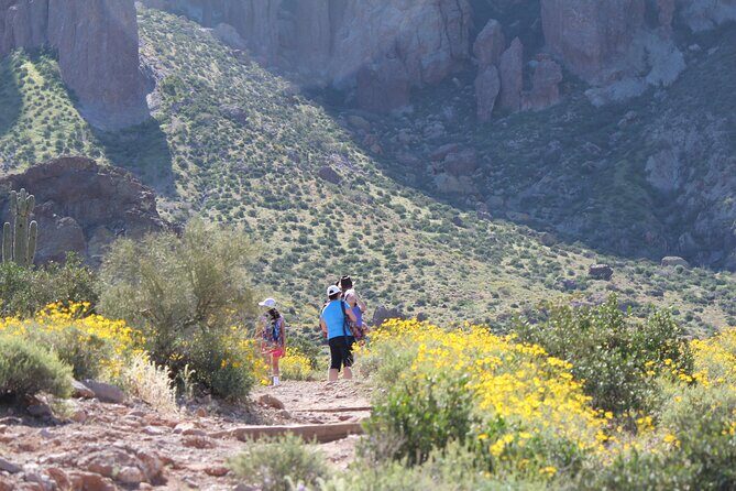 Apache Trail Private Half-Day Tour - Booking and Practical Considerations