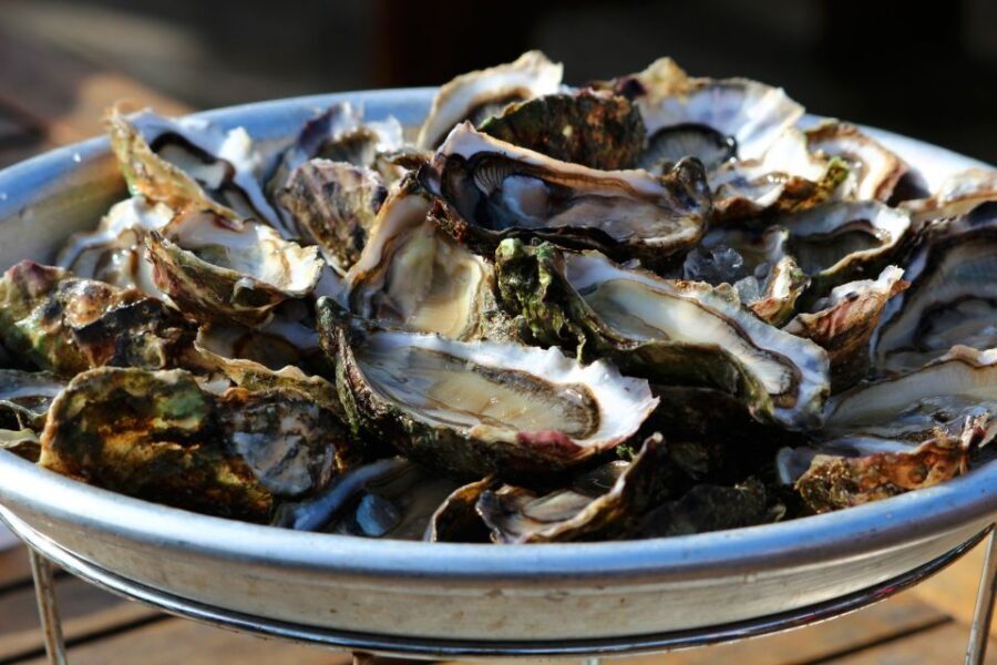 Aphrodisiac Experience in Mali Ston: Private Tour - Who Should Consider This Tour?
