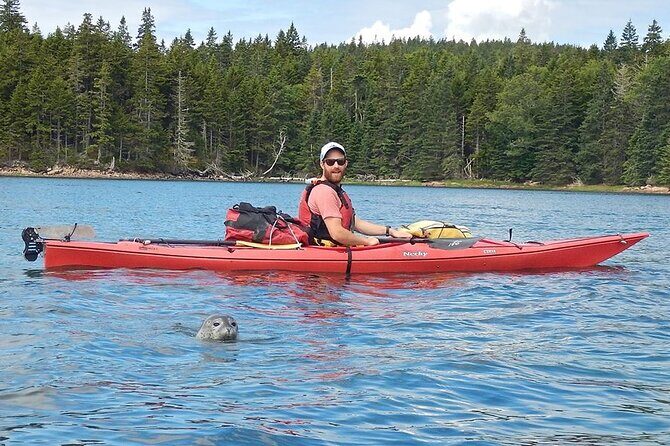 Aqua Safari Kayak tour departing Southwest Harbor - Paddling Experience and Group Size