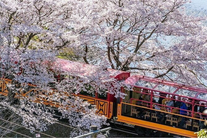 Arashiyama Sagano Romantic TrainFushimi Inari Taisha & Nara Park - The Serenity of Nonomiya Shrine and Kimono Forest