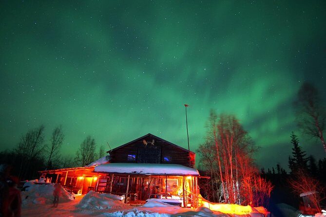 Arctic Circle Aurora Drive Adventure - Who Is This Tour Best Suited For?