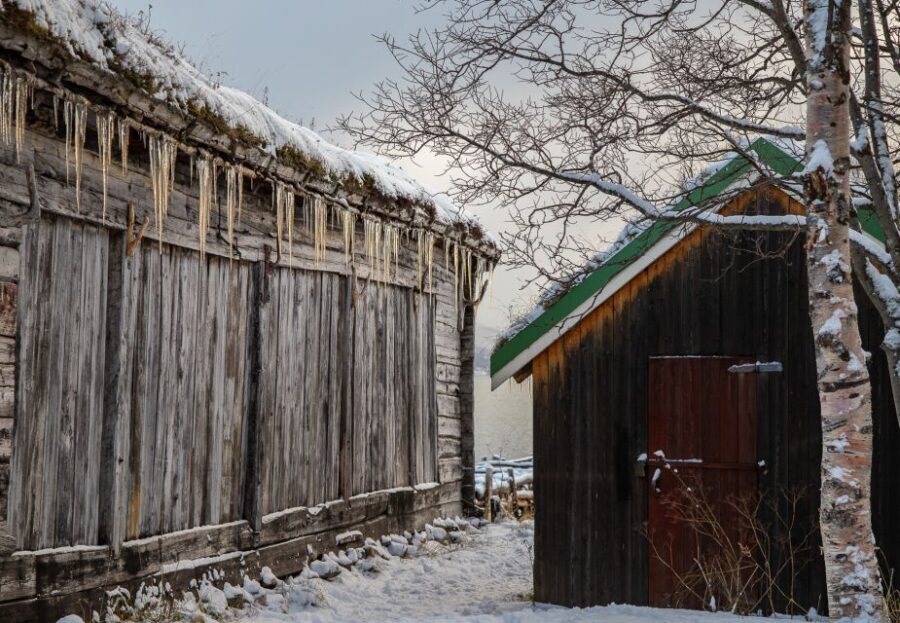 Arctic Nature Tour from Tromsø - Who Will Love This Tour?