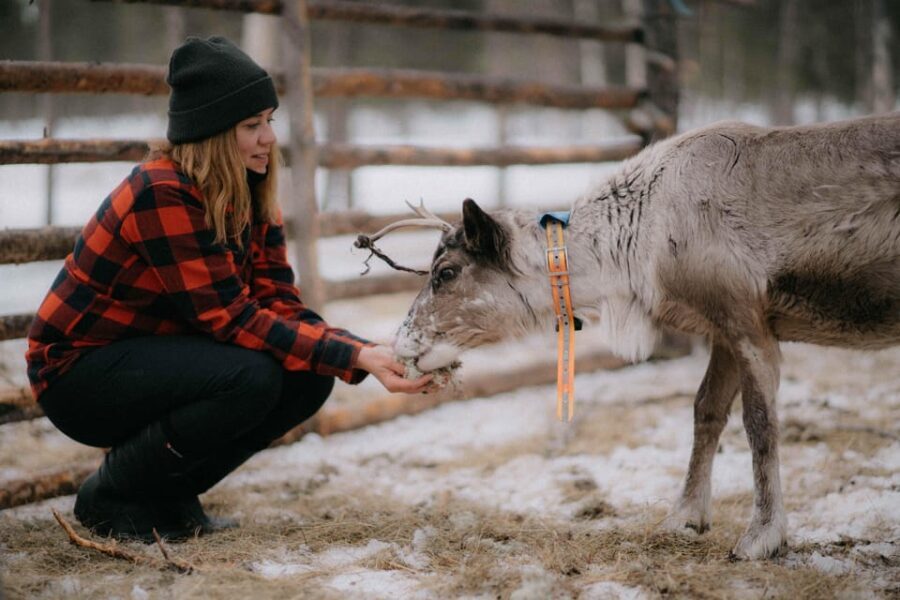Arctic Reindeer Farm Experience with Snowshoeing in the Wild - What’s Included and How It Matters