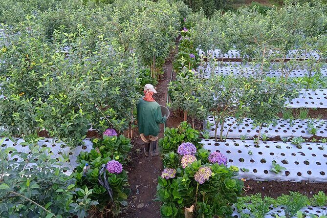 Around Bromo Farming Experience - The Farming Activities