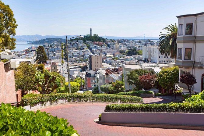 Arrival Private Transfer: Airport SFO to San Francisco in Luxury Van - Value and Cost Analysis