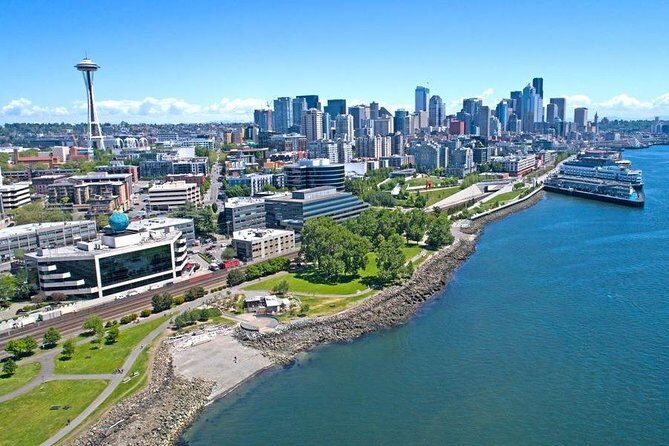 Arrival Private Transfer: Seattle Airport SEA to Seattle in Luxury Car - Vehicle and Comfort