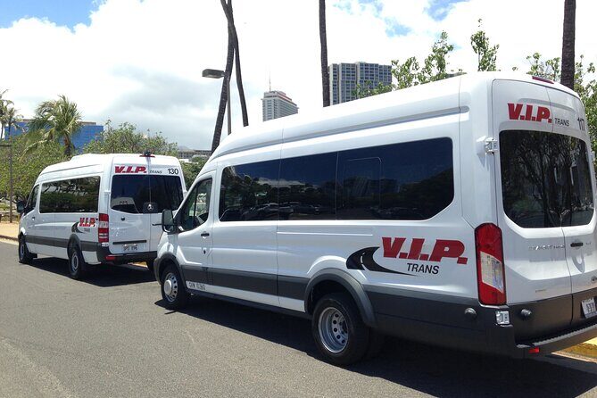 Arrival Trasfer: Airport Shuttle Honolulu and Cruise Terminal - Who Will Benefit Most?