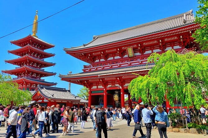 Asakusa and Skytree HADO Experience and Landmarks - What Travelers Are Saying