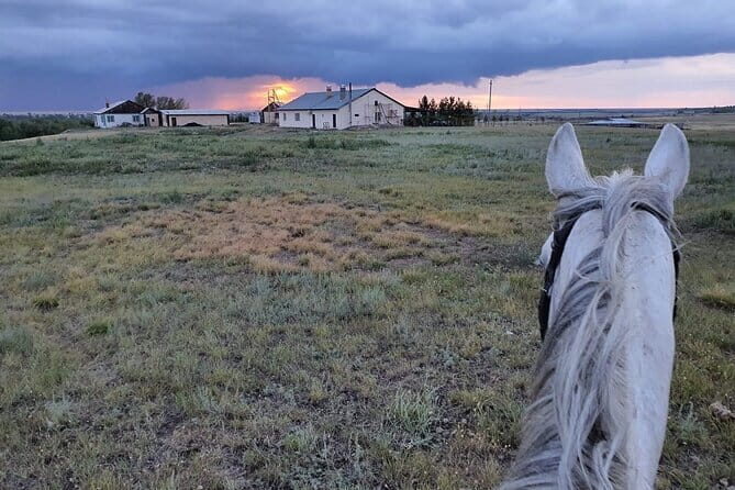 Astana Unbridled: Seven Days of Culture and Adventure - Who Will Love This Tour?