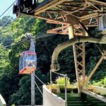 Atami Half-Day Private Tour with Government-Licensed Guide - A Balanced Look at Each Stop