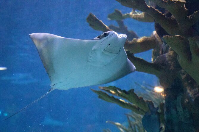 Audubon Aquarium & Insectarium Ticket - The Full Itinerary Breakdown