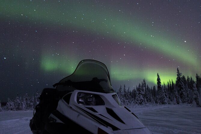 Aurora Sleighers Snowmobile Tour in Fairbanks - The Itinerary in Detail