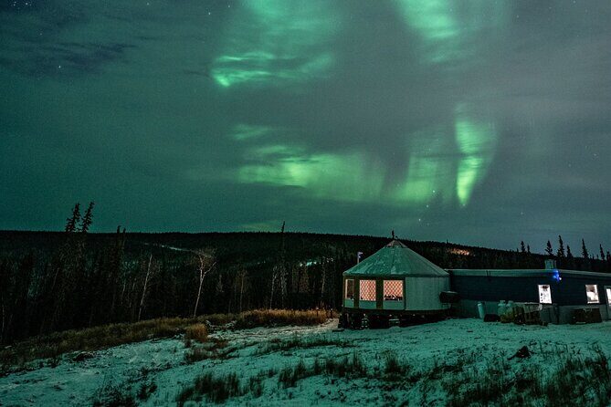 Aurora Viewing and Dinner - Who Is This Experience Best For?