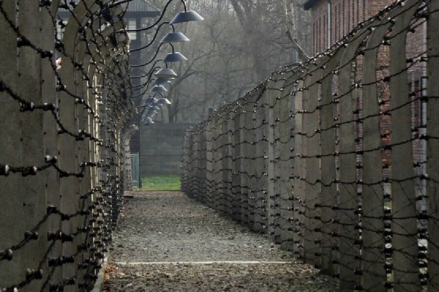 Auschwitz-Birkenau Guided Tour & Transfer from Krakow - Final Thoughts