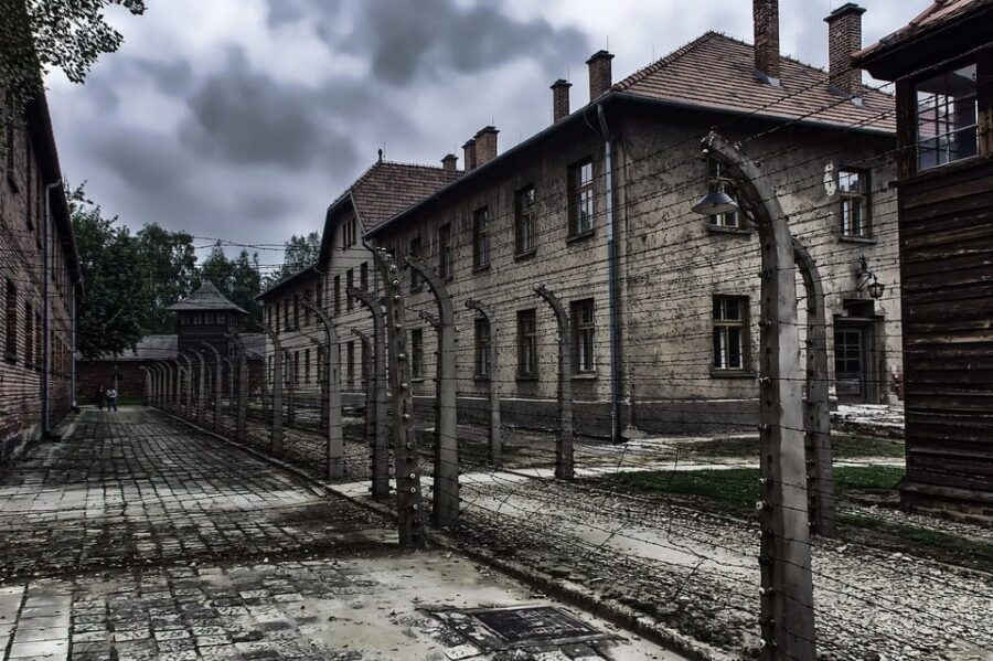 Auschwitz-Birkenau: Memorial Entry Ticket and Guided Tour - In-Depth Review of the Auschwitz-Birkenau Guided Tour