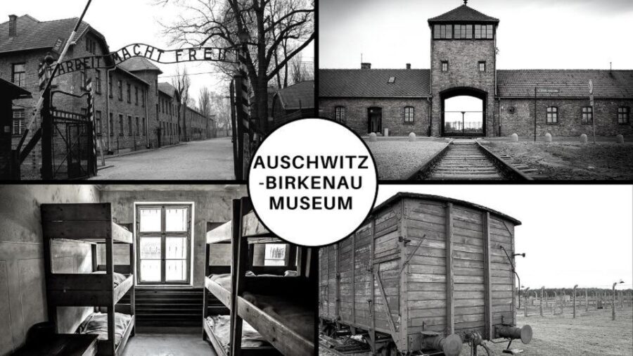 Auschwitz-Birkenau: Museum Entry Ticket with Guided Tour - The Practical Side: Tickets, Transport, and Comfort