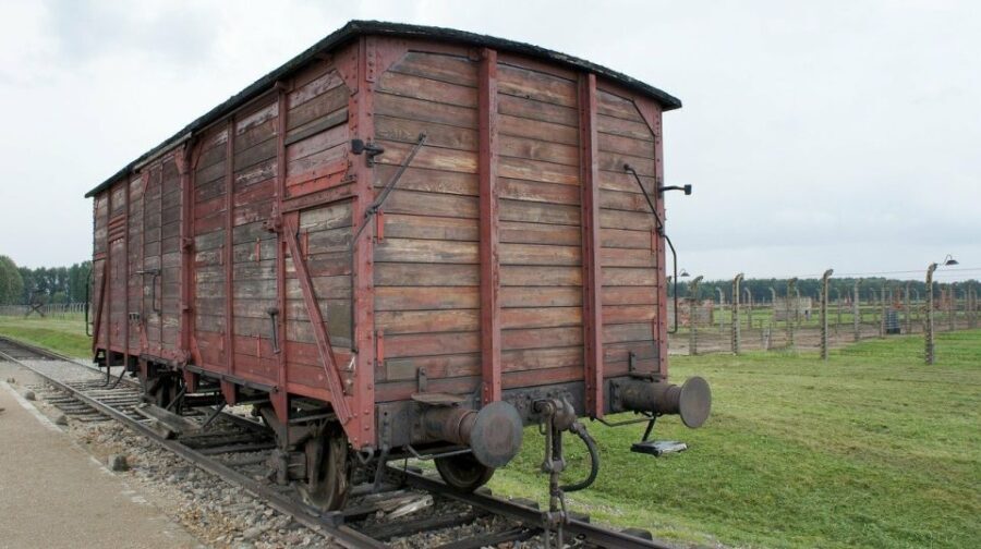 Auschwitz-Birkenau Museum Tour from Krakow - The Experience for Visitors