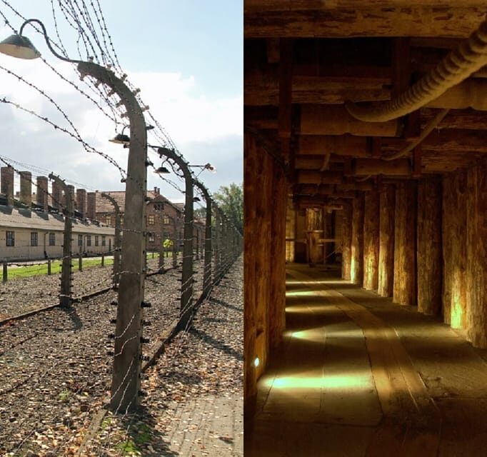 Auschwitz-Birkenau & Salt Mine Tour in One Day from Krakow - The Sum Up: Who Will Appreciate This Tour?