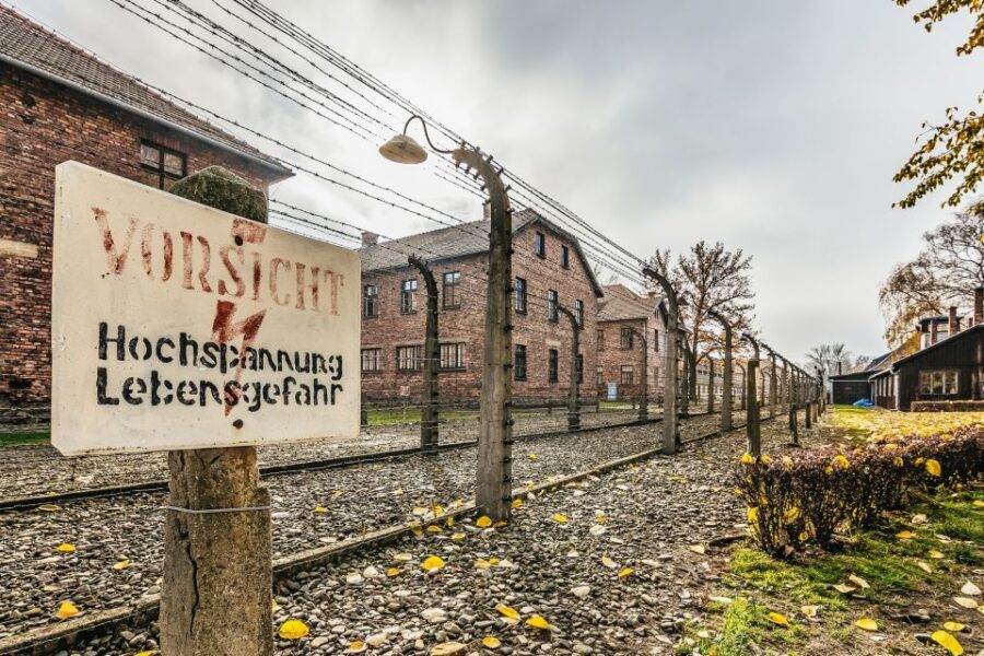 Auschwitz-Birkenau: Skip-the-Line Entry Ticket & Guided Tour - What You Can Expect
